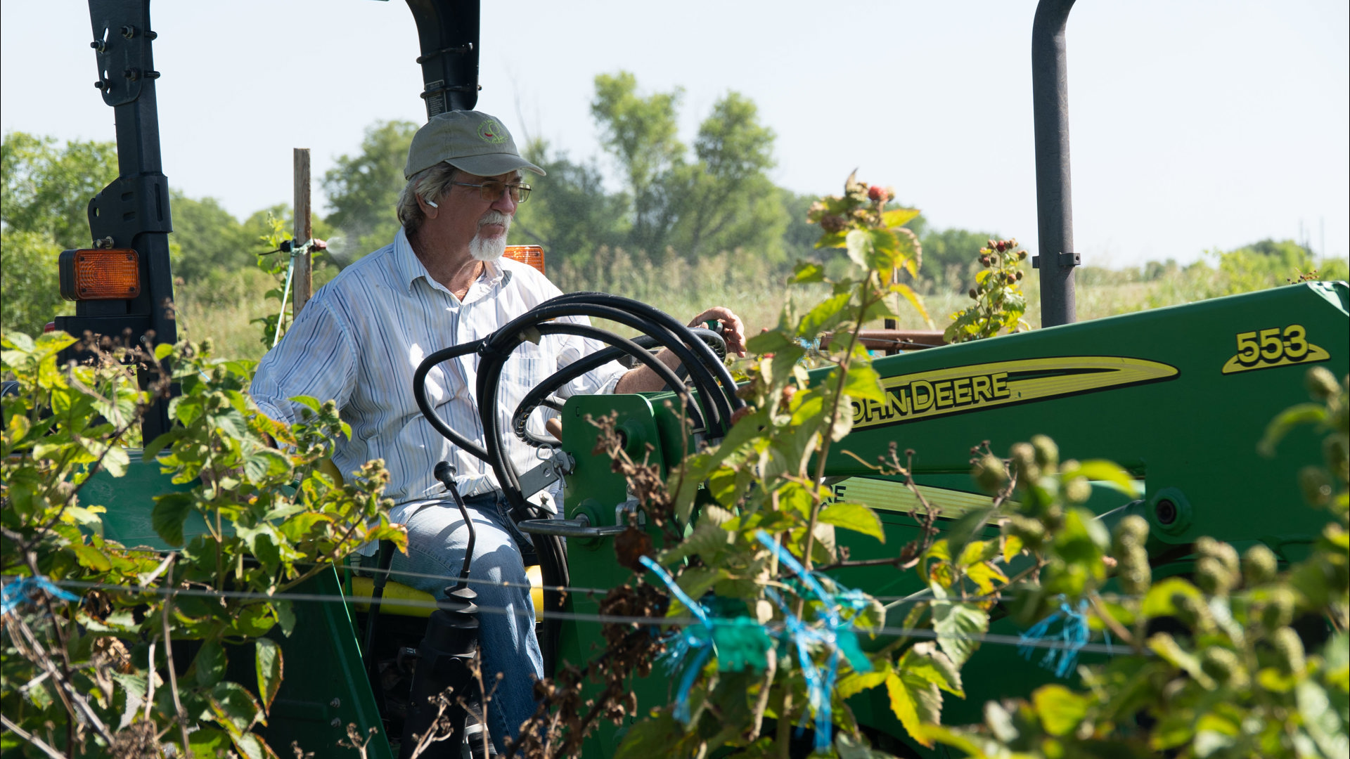 Agritourism grows in North Texas with pick-your-own-produce farms ...