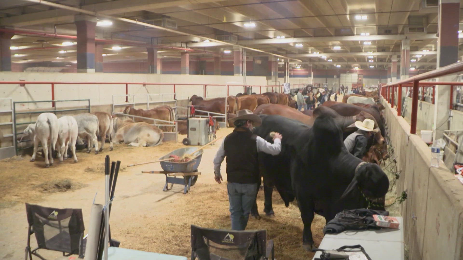 Dallas Pride plans Downtown takeover, first-ever sunset parade in 2026 ...