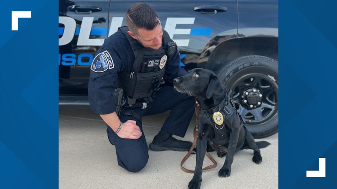 Texas K-9 officer Lt. Dan dies after recent cancer diagnosis | wfaa.com