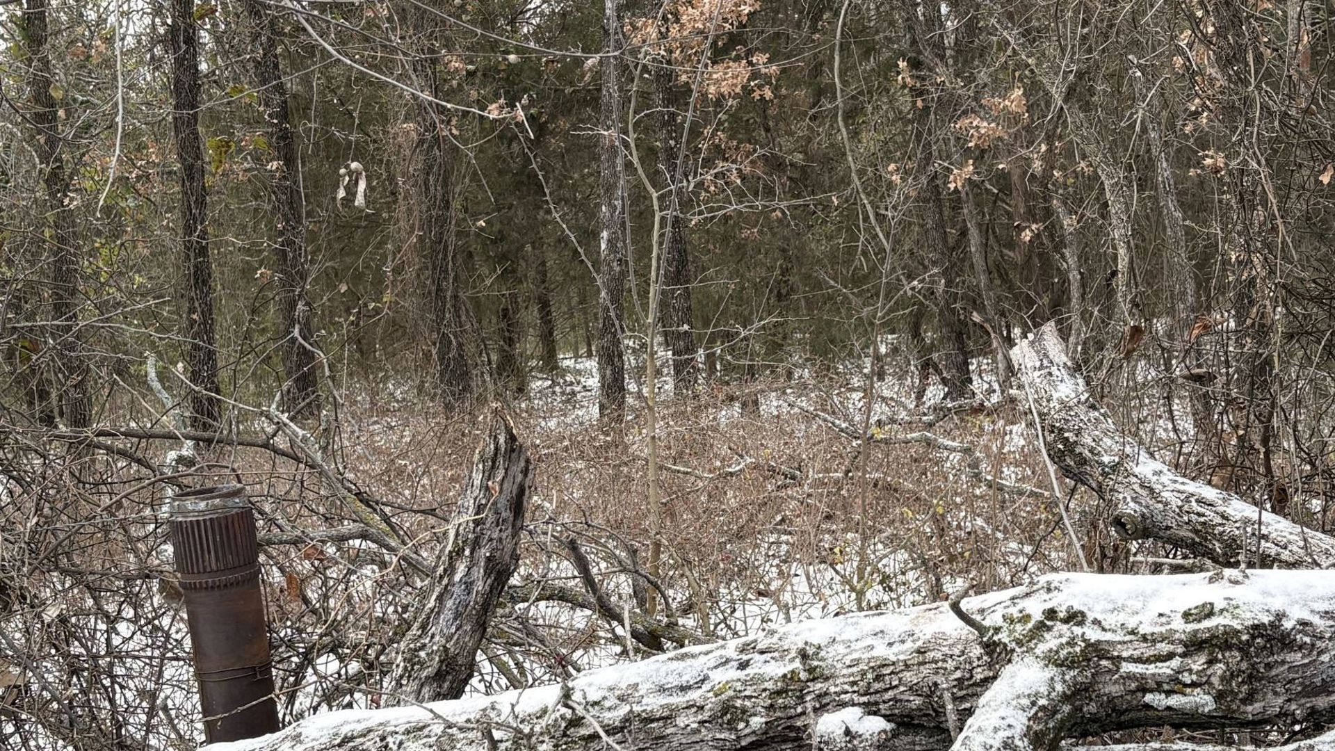 PHOTOS: North Texans send in photos of winter fun | wfaa.com