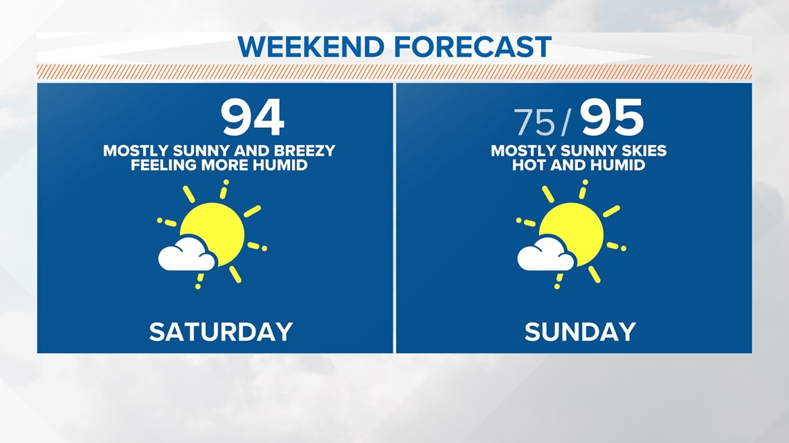 Seattle's 'Tuba Man' beaten to death | wfaa.com
