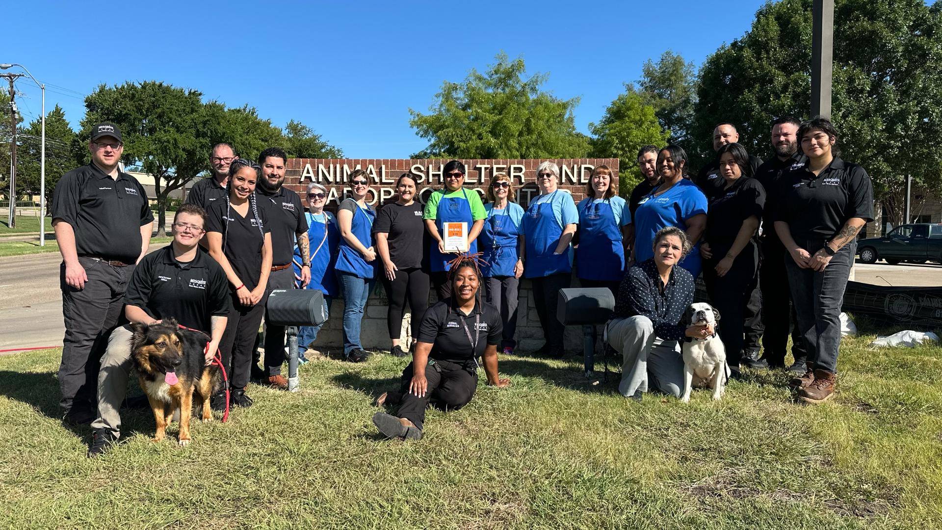 North Texas Animal Shelter honored for high annual save rate 2024 ...