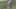 Body of woman found in Trinity River near Fort Worth | wfaa.com