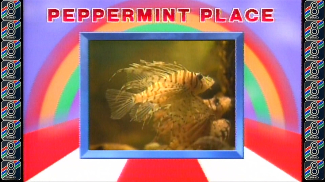 Peppermint Place: Do you think it would be fun to be a fish? | wfaa.com