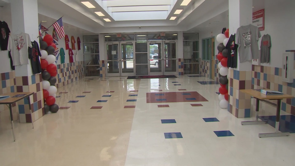 Asian Lady Beetles: Here's what to know about these fake ladybugs ...