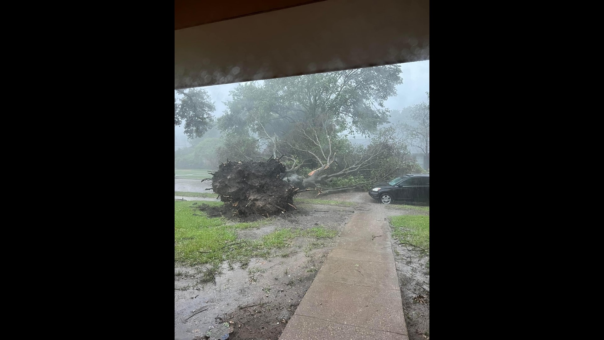 DFW Weather: Power outages in Dallas, downed trees, zoo closed | wfaa.com
