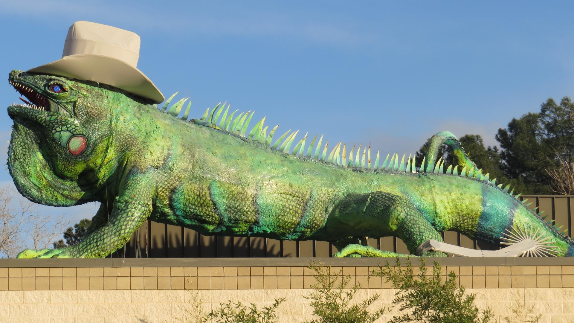 Fort Worth Zoo's giant iguana coming down for facelift, city tour ...