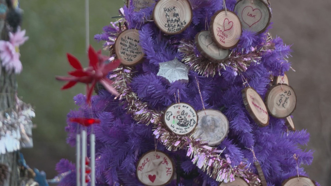Purple Tree in North Texas raises fentanyl awareness, honors late teen ...