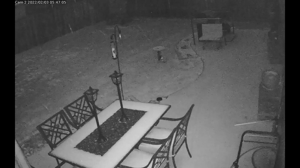 Denton Weather | wfaa.com