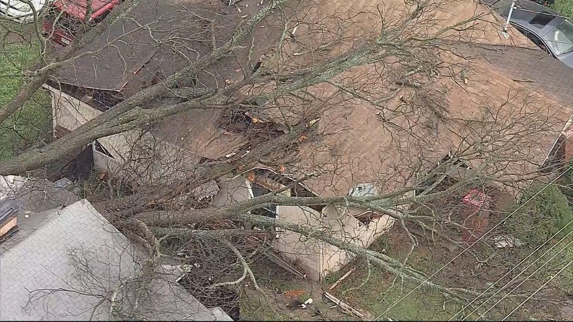 Tree topples in Dallas after storms: 'It could've been worse' | wfaa.com