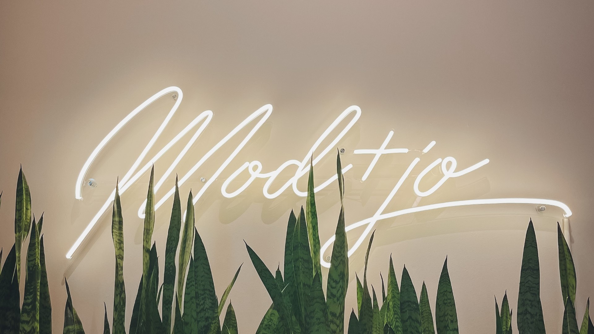 MOD + JO HOLIDAY GIVEAWAY | wfaa.com