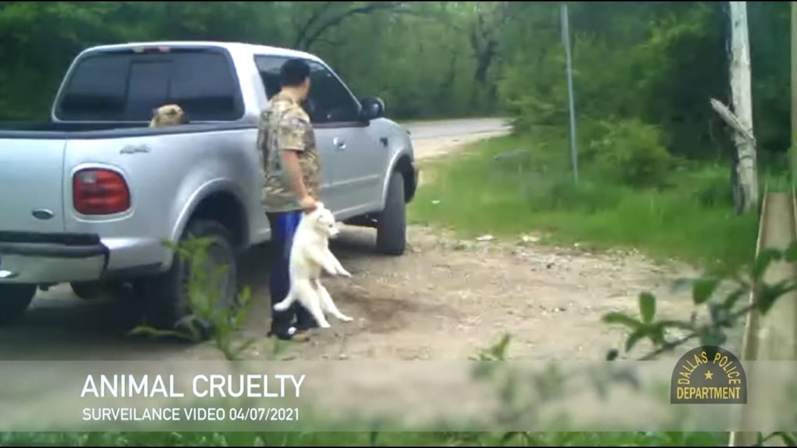 Animal cruelty case: Dallas man sentenced to over 6 years | wfaa.com