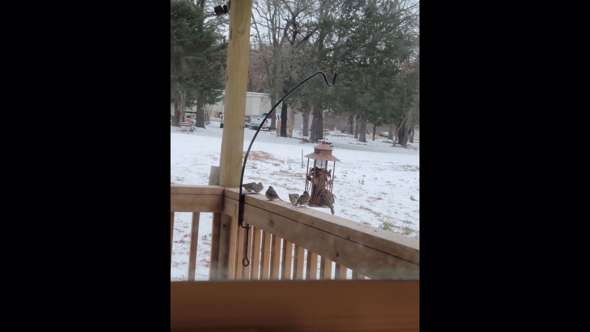 Photos of January 30 2023 Winter Storm Dallas Fort Worth Texas | wfaa.com