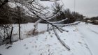 DFW winter storm timeline: What we're expecting, when and where. | wfaa.com