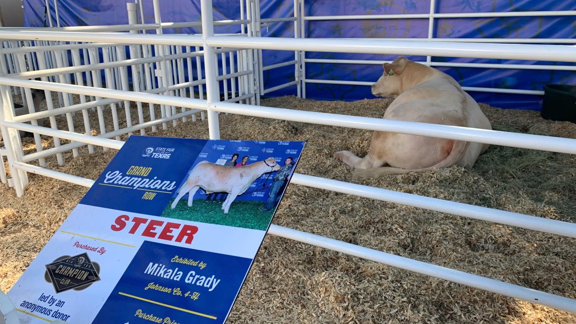 State Fair of Texas shares plans for 10-day youth livestock show | wfaa.com