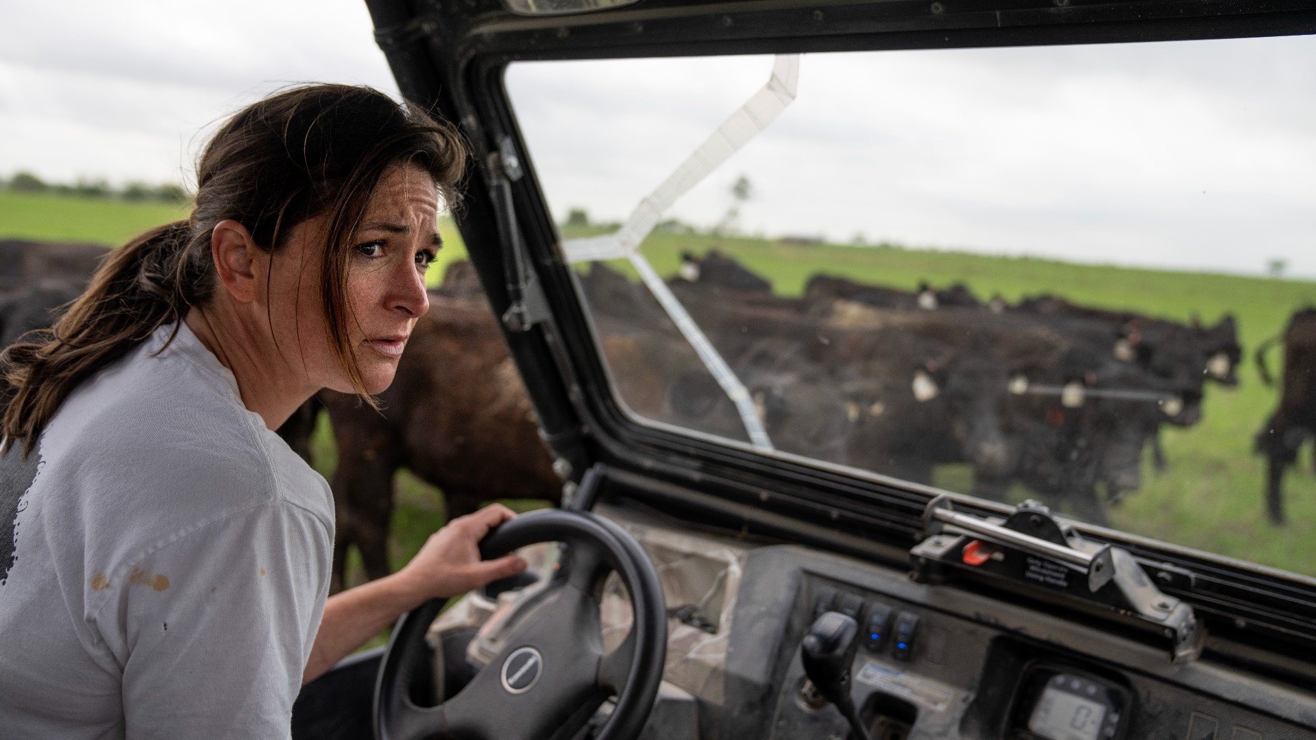 Can cattle ranching change enough to no longer harm the planet? | wfaa.com