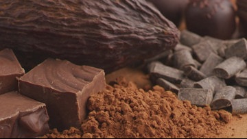 Canada-based chocolate company to build $20M factory in Rockwall | wfaa.com