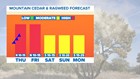 Texas allergy forecast: Why DFW pollen count, ragweed are so bad | wfaa.com