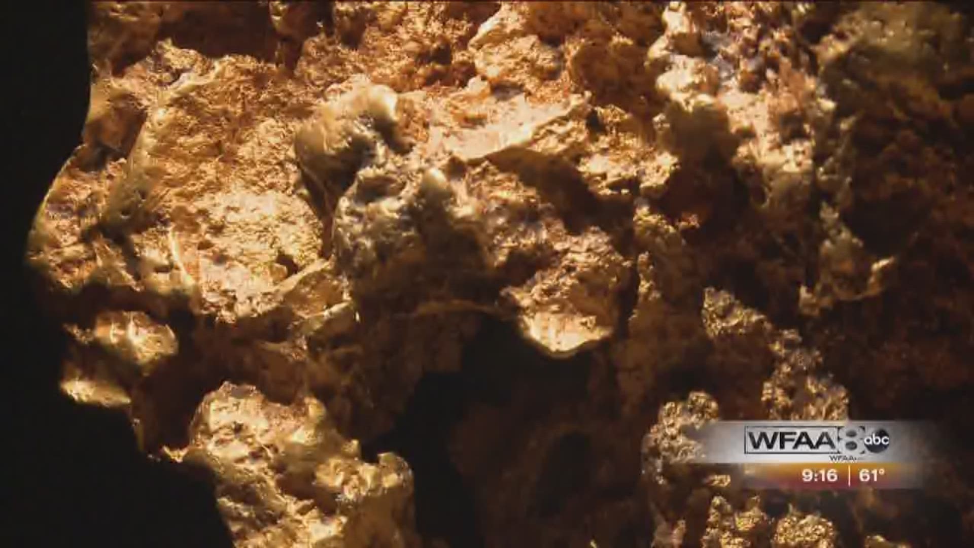 Third Largest Gold Nugget at Perot Museum of Nature and Science | wfaa.com