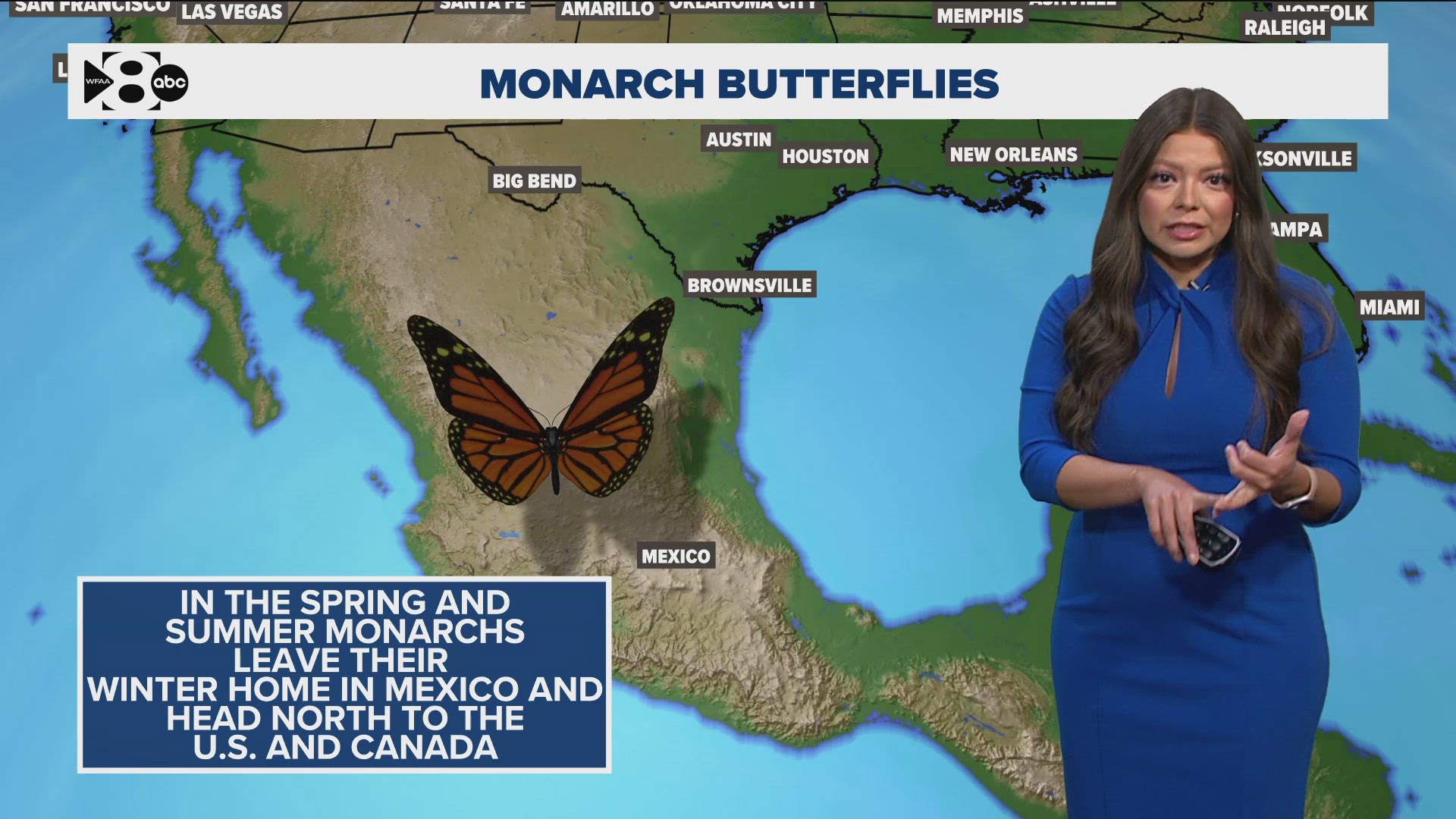 DFW weather: Latest forecast, radar, rain chances | wfaa.com