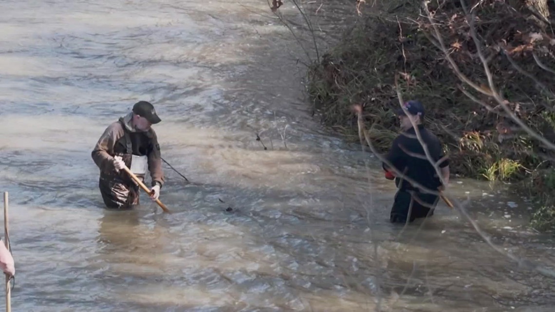 4-month-long search for missing 8-year-old girl after Christmas Eve ...