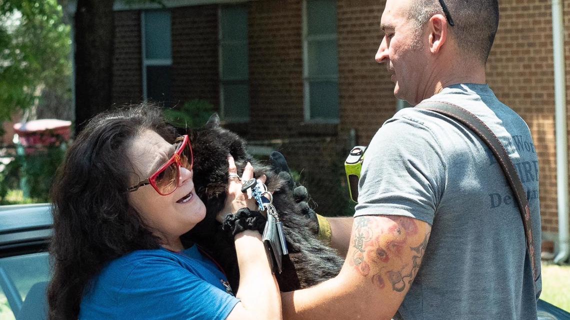 Fort Worth FD: Firefighters help save cat from house fire | wfaa.com