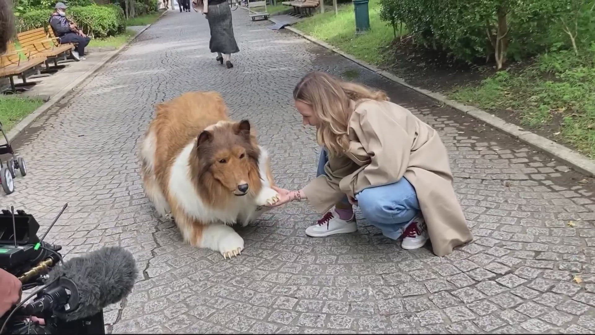 Man goes public with multi-thousand-dollar dog suit | wfaa.com