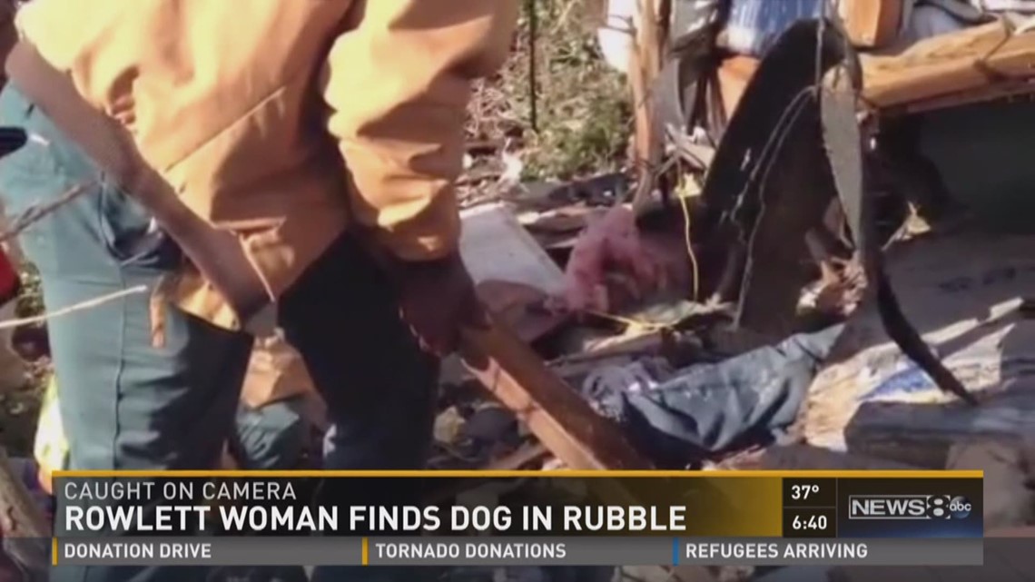 Watch Rowlett Woman Finds Dog In Tornado Rubble Wfaa watch-rowlett-woman-finds-dog-in-tornado-rubble-wfaa