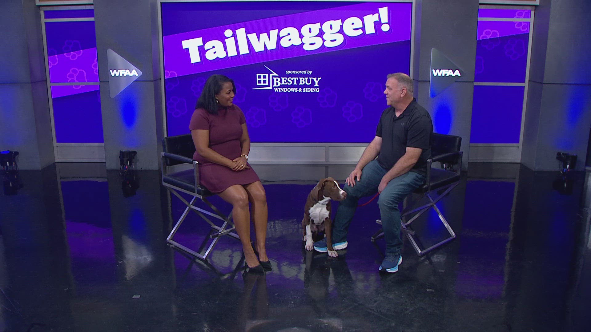 Tailwaggers: Meet Phillip | wfaa.com