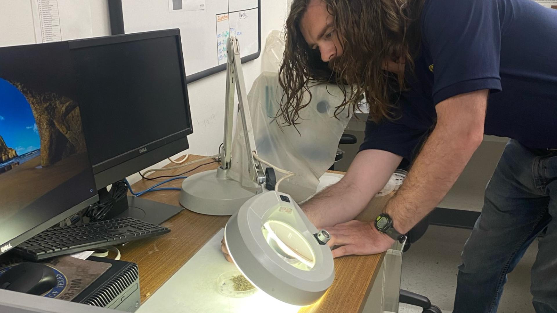 Dallas County gives a look inside its Mosquito Control Lab | wfaa.com