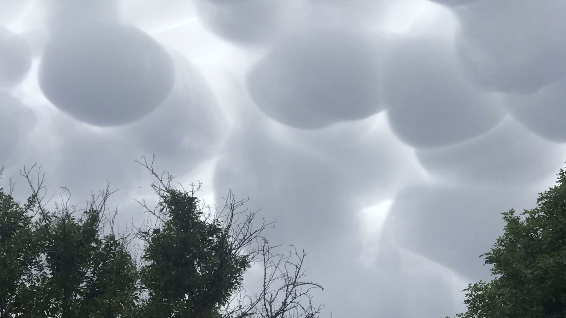 What are those strange looking clouds above DFW? | wfaa.com