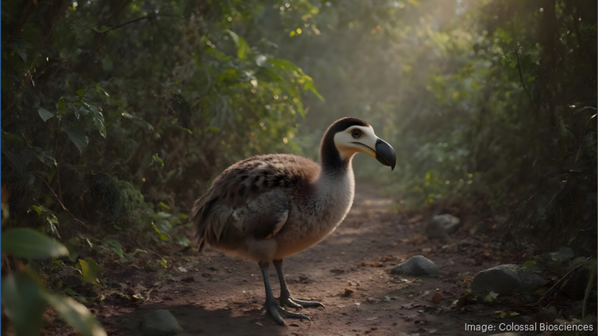 Colossal snags $60 million in new funding, selects site for first ...