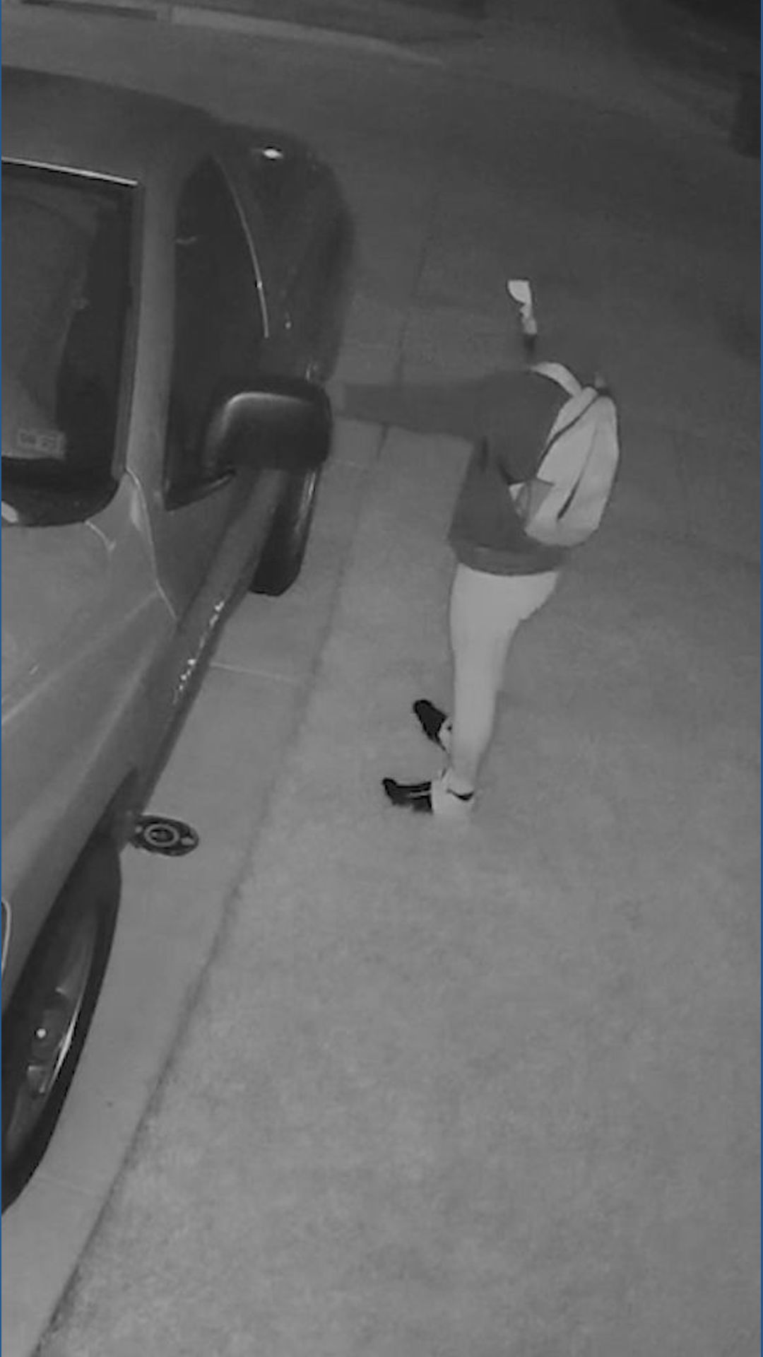 Collin County Sheriff's Office investigating string of burglaries ...