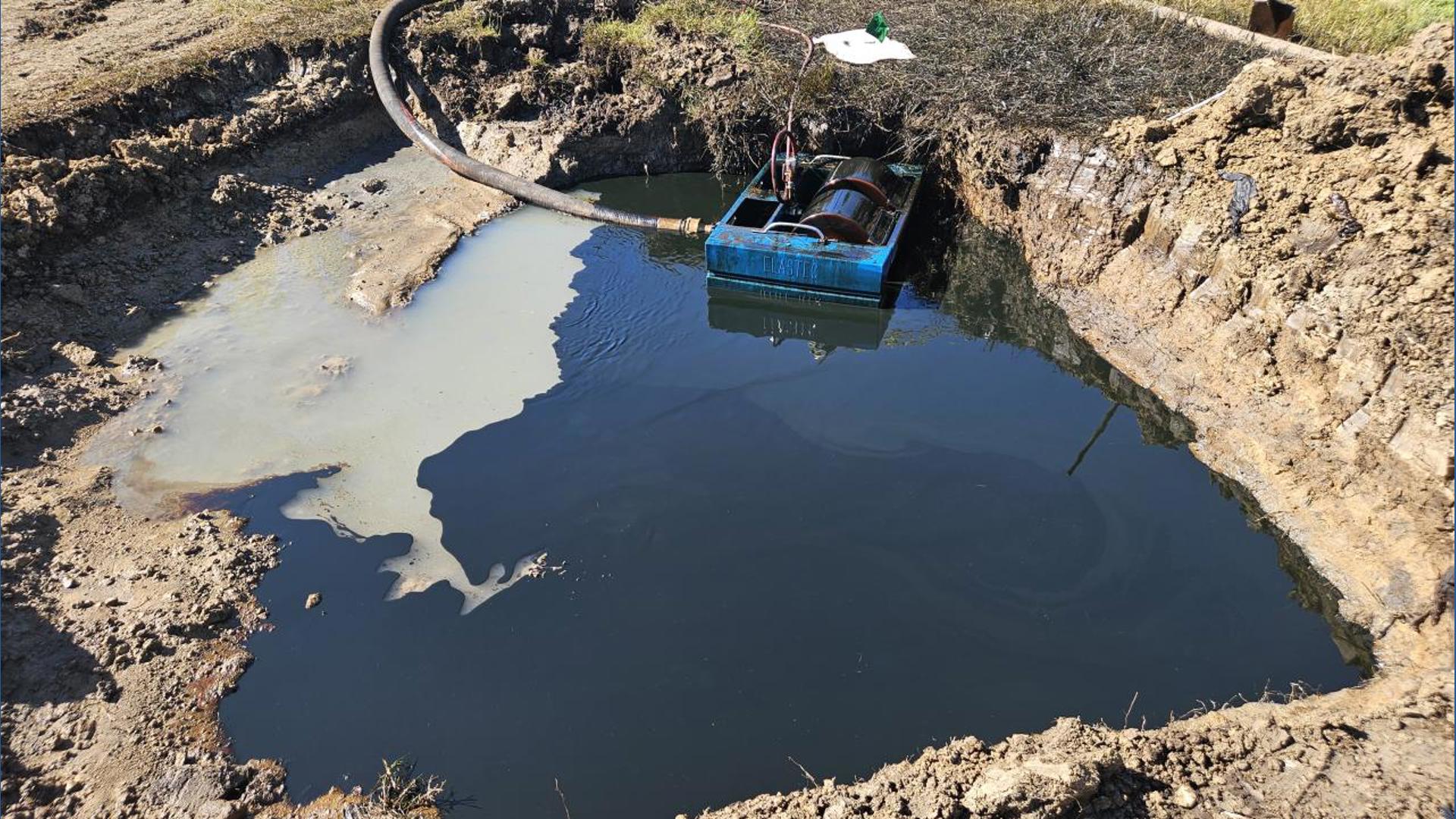 Fort Worth birders urge reopening of Village Creek Drying Beds | wfaa.com