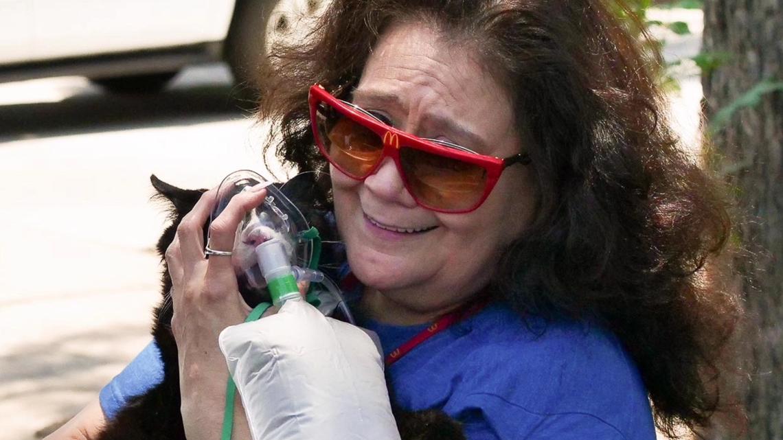 Fort Worth FD: Firefighters help save cat from house fire | wfaa.com