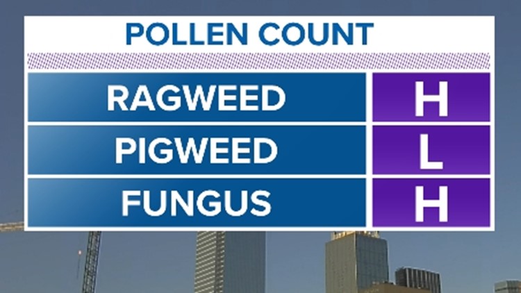 DFW Allergy Report: Ragweed season is upon us | wfaa.com