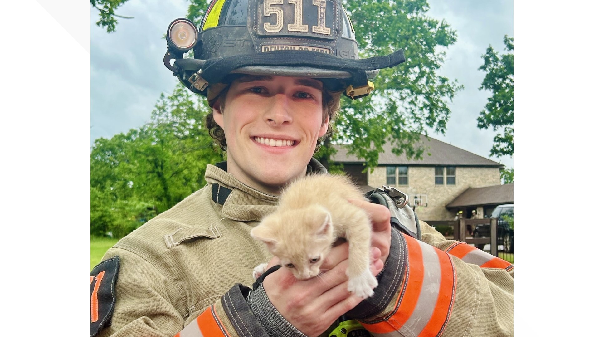 Kittens saved from house fire by Texas firefighters | wfaa.com