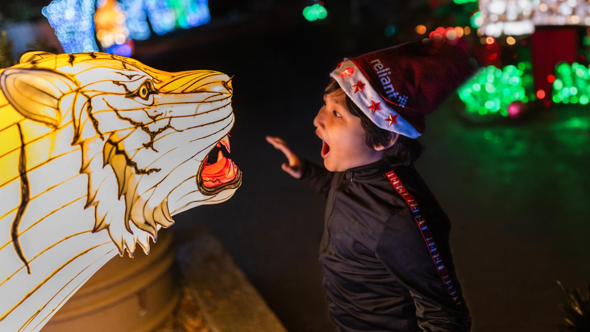 Recycle your old Christmas lights at the Dallas Zoo this month | wfaa.com