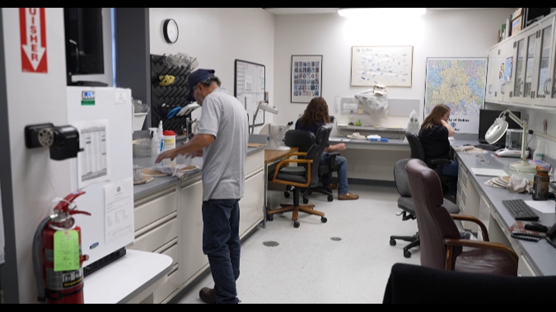 Dallas County gives a look inside its Mosquito Control Lab | wfaa.com