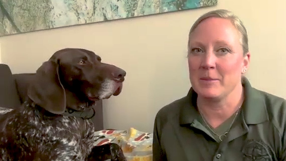 Dallas police K9 officer travels to Las Vegas for Super Bowl | wfaa.com