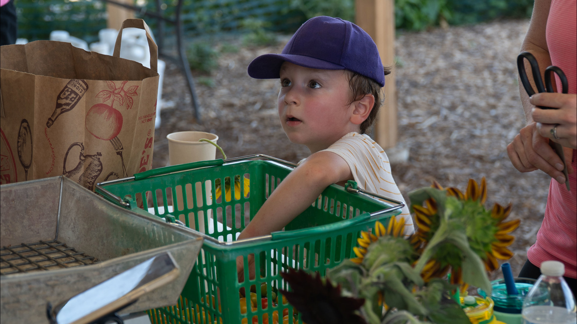 Agritourism grows in North Texas with pick-your-own-produce farms ...