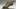 A 'Texan Golden Boot' sculpture is coming to North Texas for the World ...
