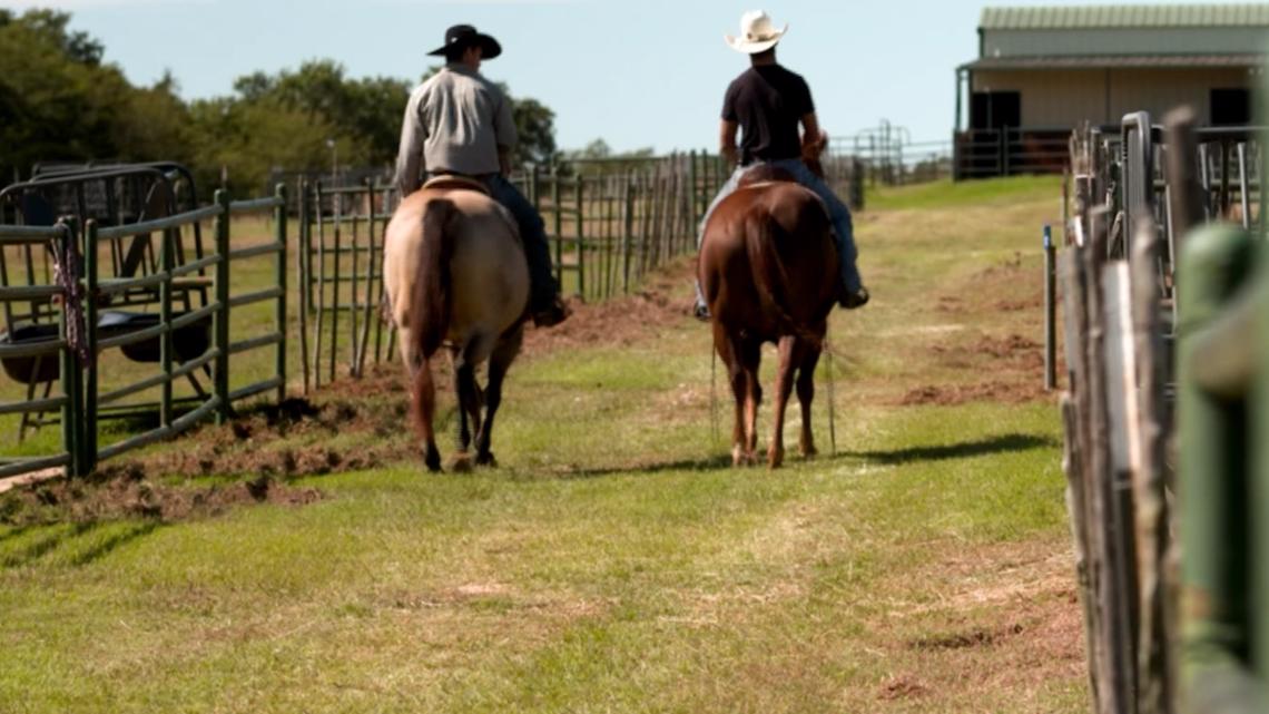 Brazilian bull riders on the PBR call this Texas town home | wfaa.com