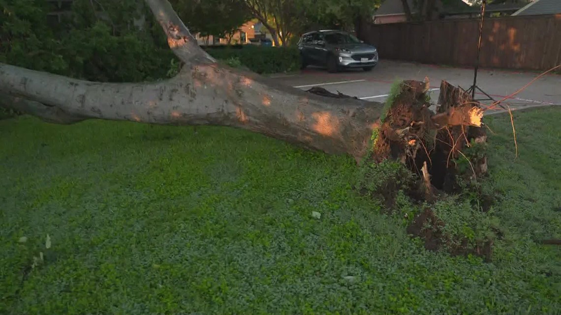 DFW weather: Downed trees, flooding and structural damage after severe ...