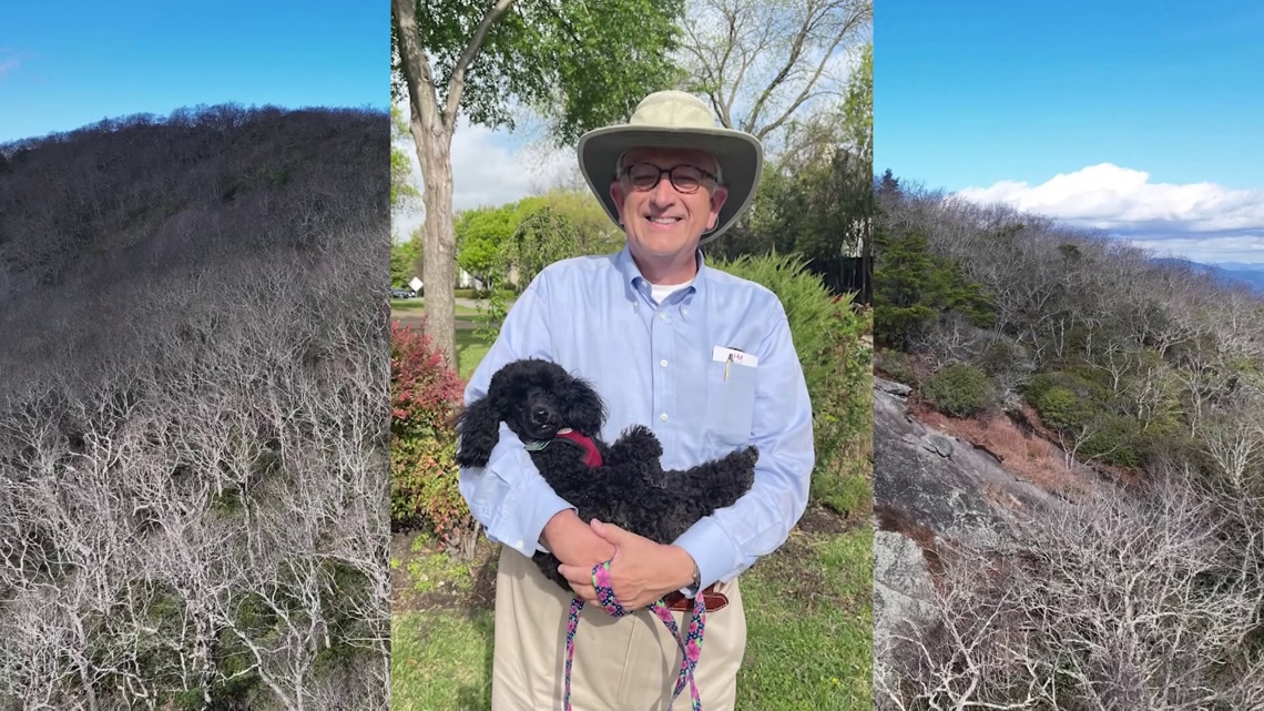 Major Search Push Before Christmas for Missing Dallas Attorney on ...