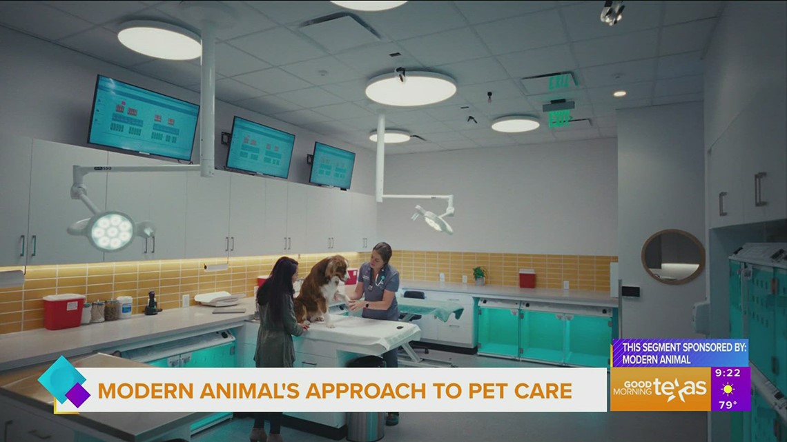 Sponsored: Modern Animal's Approach to Pet Care | wfaa.com