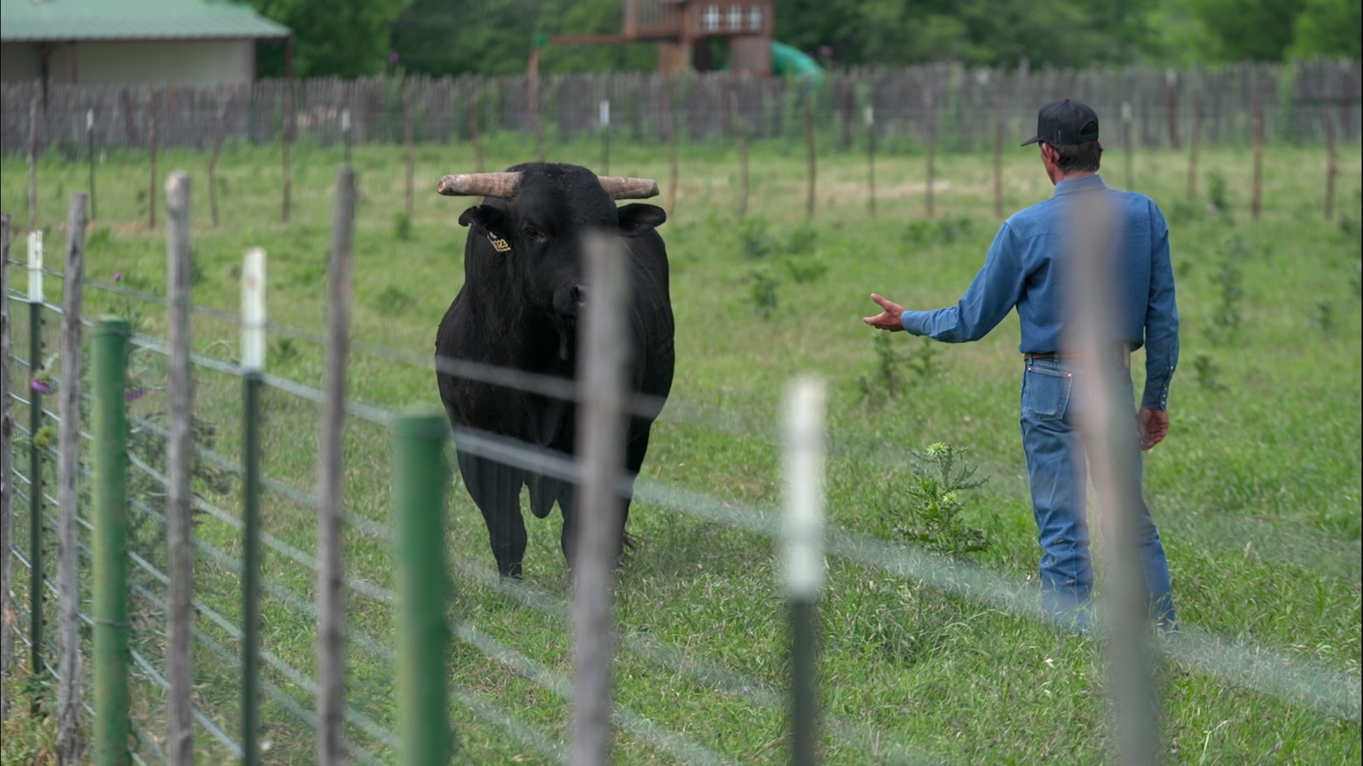 J.B. Mauney reflects on career, bull ride that broke his neck | wfaa.com