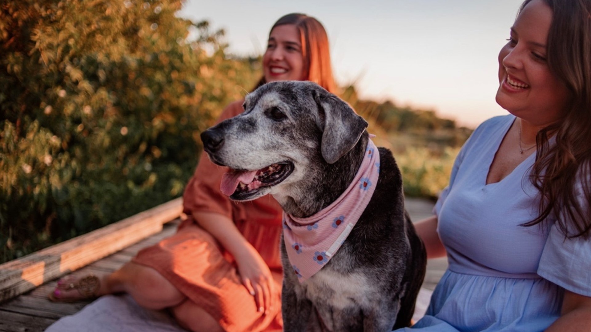 19-year-old Dallas dog enjoying short time left with new family | wfaa.com