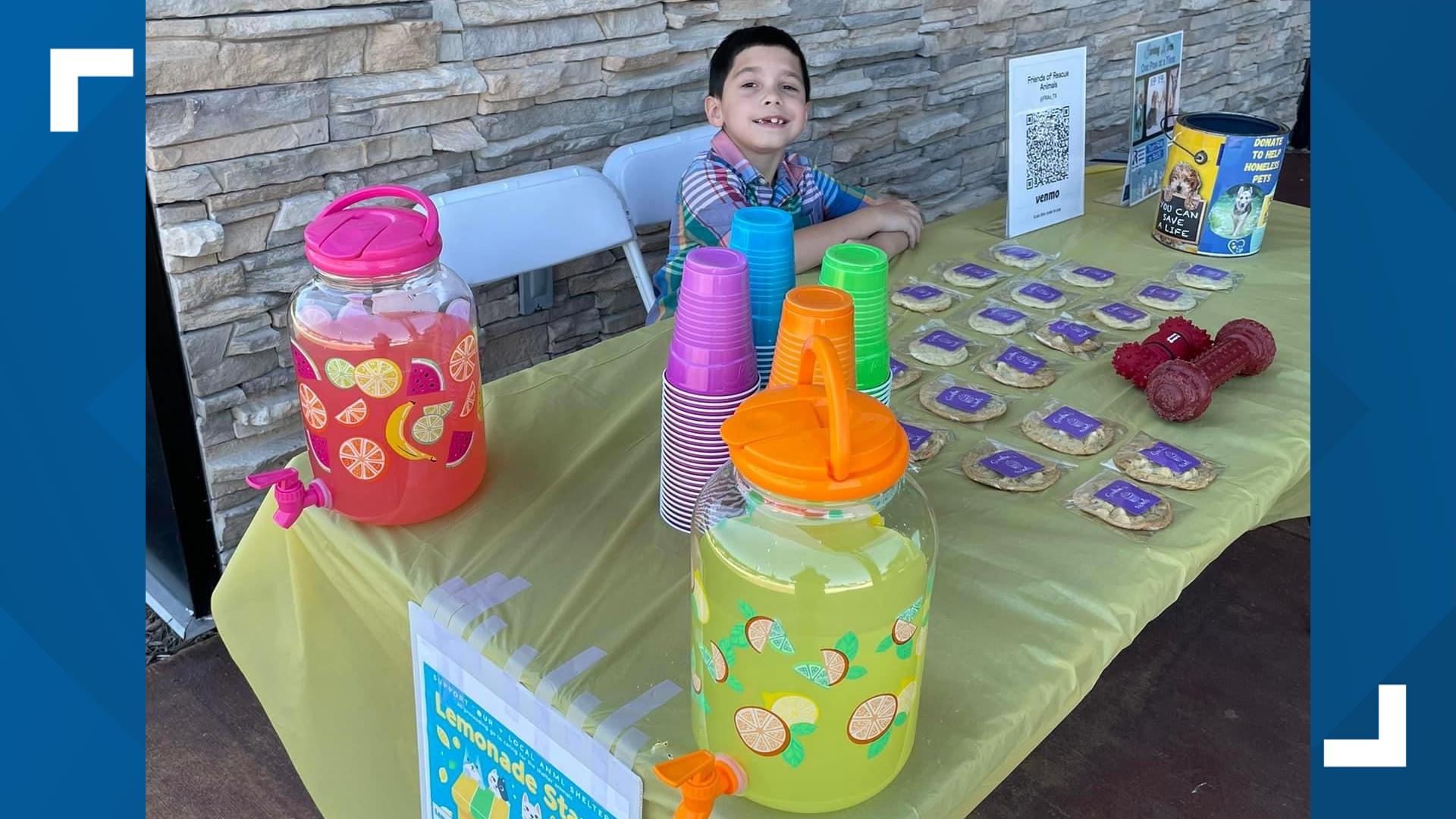 Lemonade stand supports animals at Garland, Texas shelter | wfaa.com