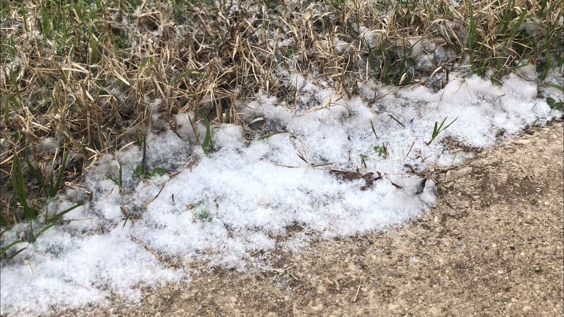 Snowing in Dallas: Pictures and video of Dallas-Fort Worth snow | wfaa.com